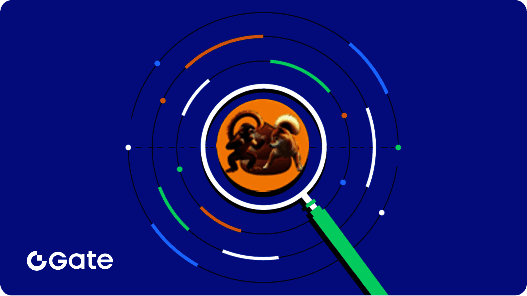 How to Buy Monkey Shit Inu (MSI) | Guide To Buying MSI | Gate.io